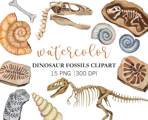 Dinosaur Fossil Clipart