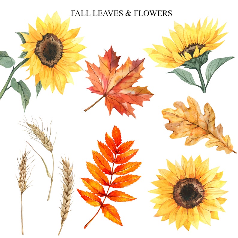 Watercolor Thanksgiving Clipart Fall Clipart Fall Decor - Etsy