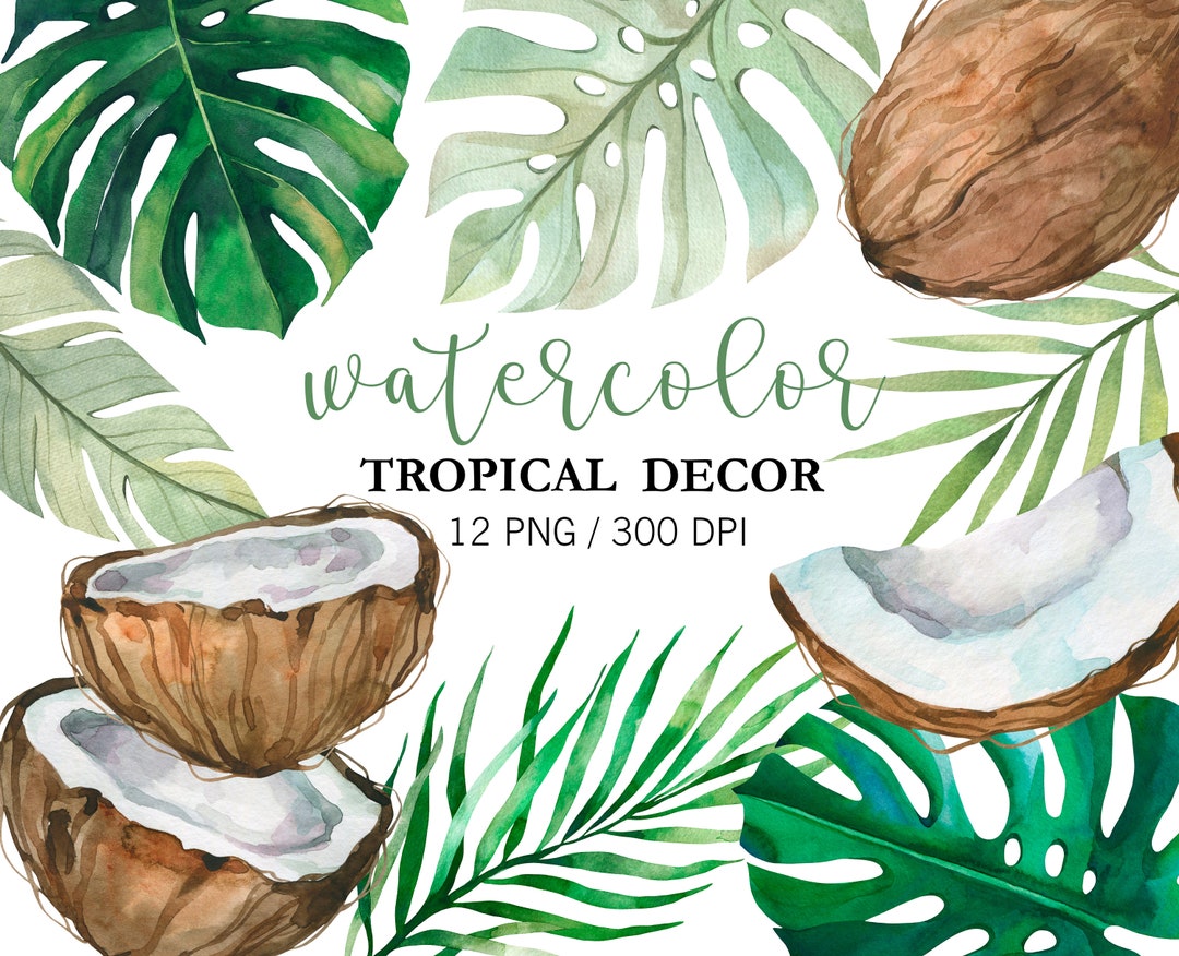 Watercolor Tropical Clipart, Watercolor Coconut Clipart, PNG, Monstera ...