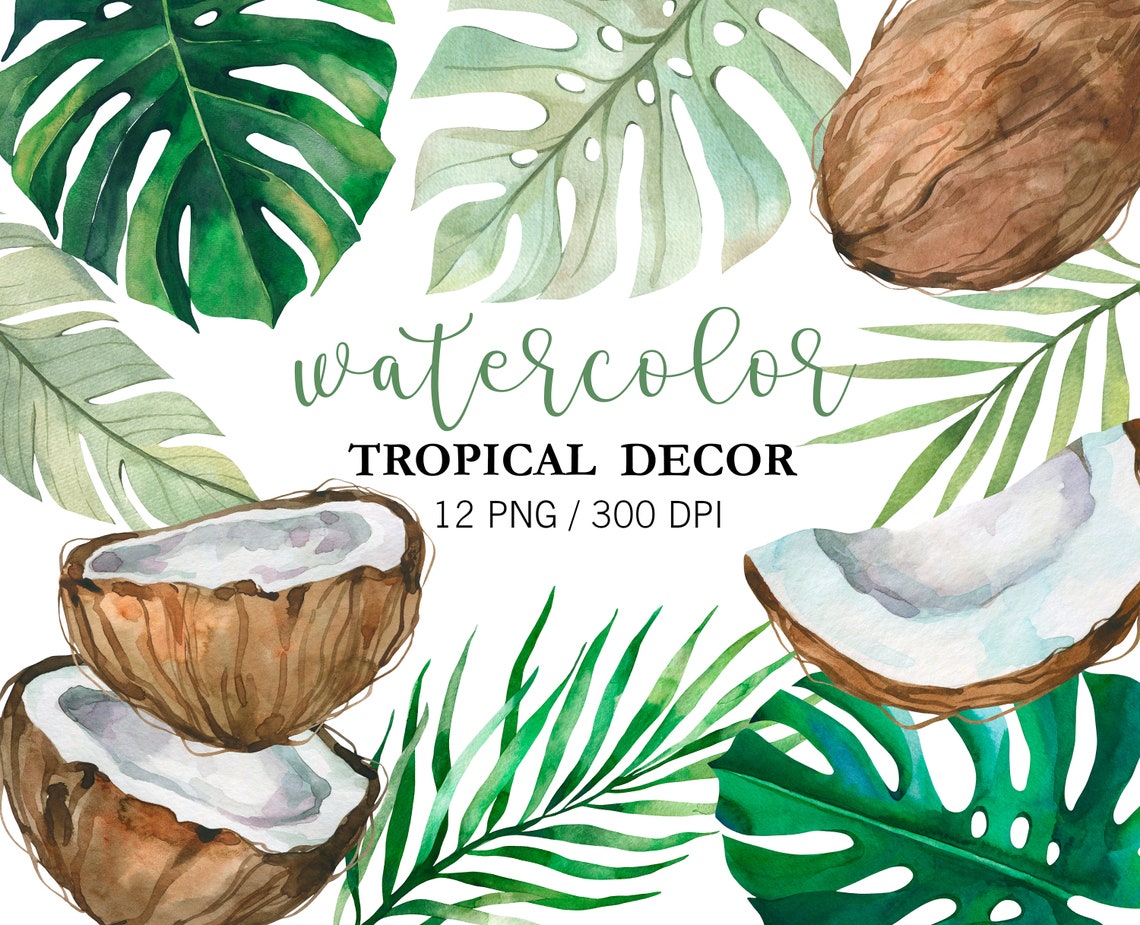 Watercolor Tropical Clipart Watercolor Coconut Clipart PNG - Etsy