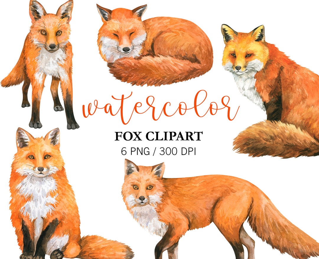 Watercolor Fox Clipart, Animals Clipart, PNG Nursery Decor, Forest ...