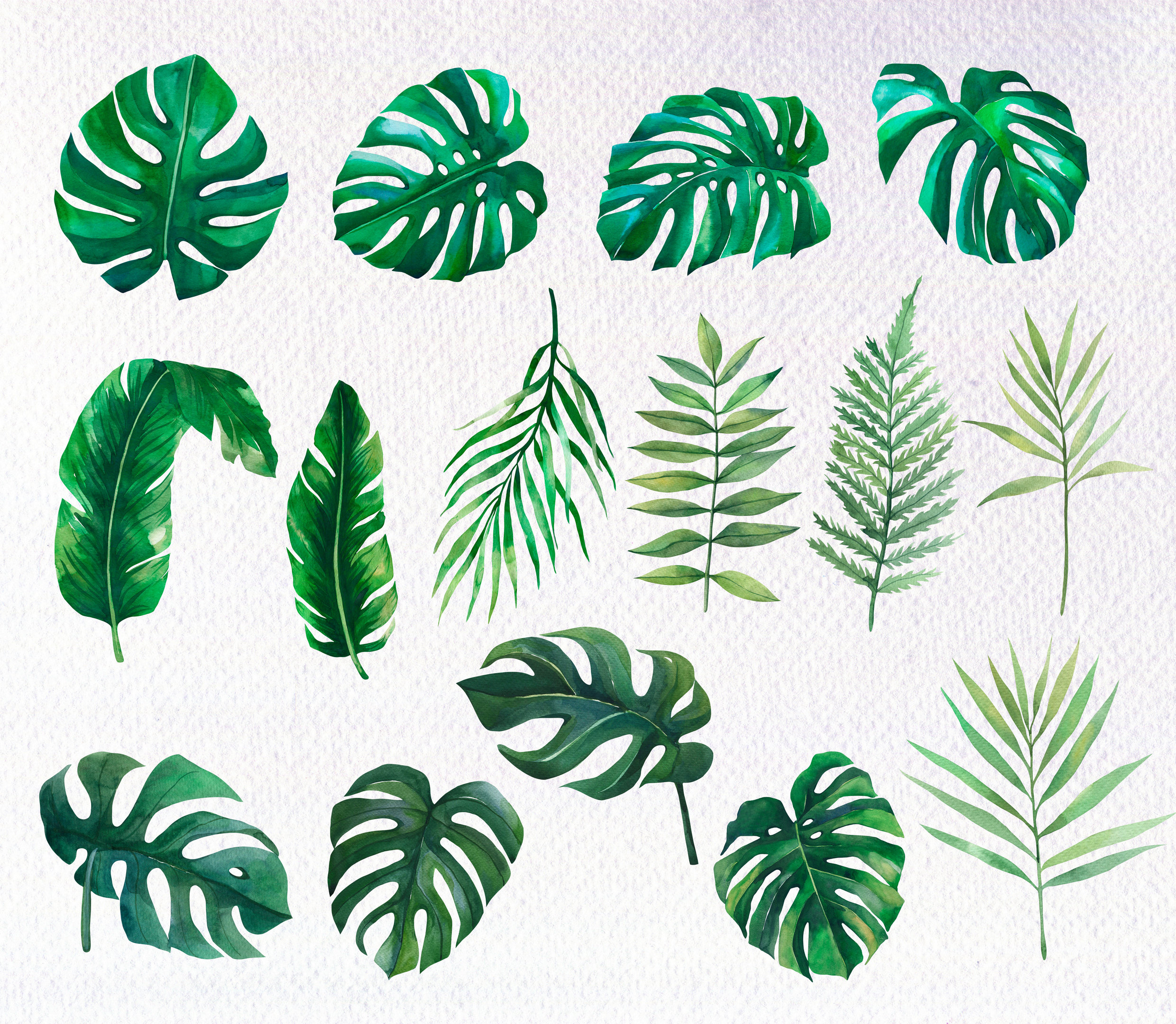 Watercolor Tropical Leaves Clipart, Monstera Clipart, Jungle Clipart ...