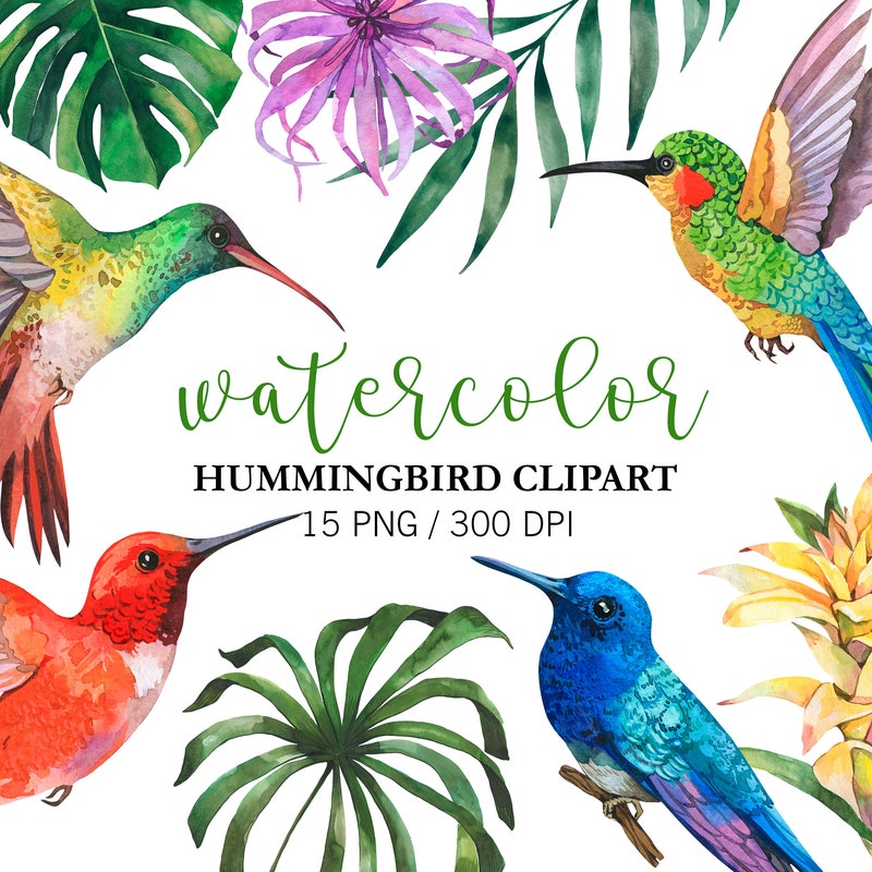 Hummingbird Clipart - Etsy