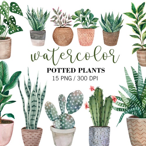 Watercolor House Plants Clipart Indoor Plants Greenery Home - Etsy