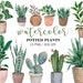Watercolor Home Plants Clipart Potted Plants Clipart Cactus | Etsy