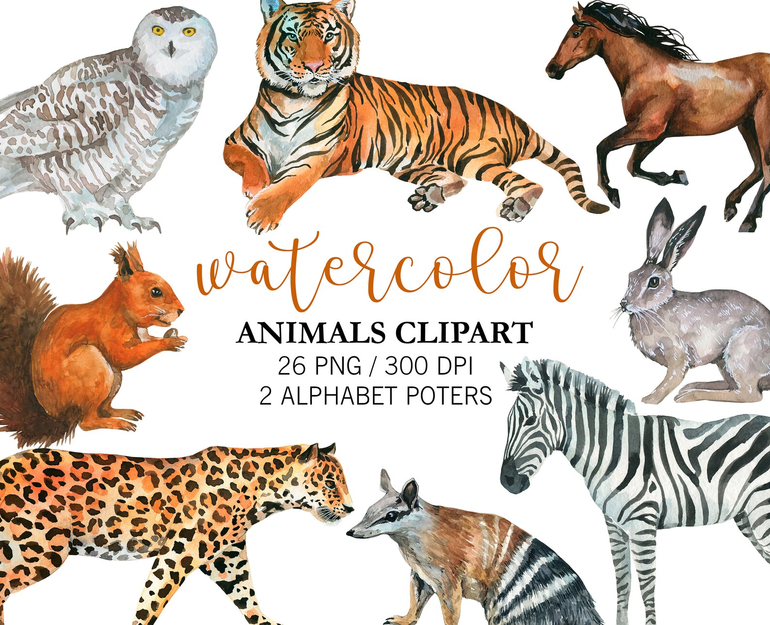 Watercolor Animals Alphabet Clipart Alphabet Animals Nursery Decor ...