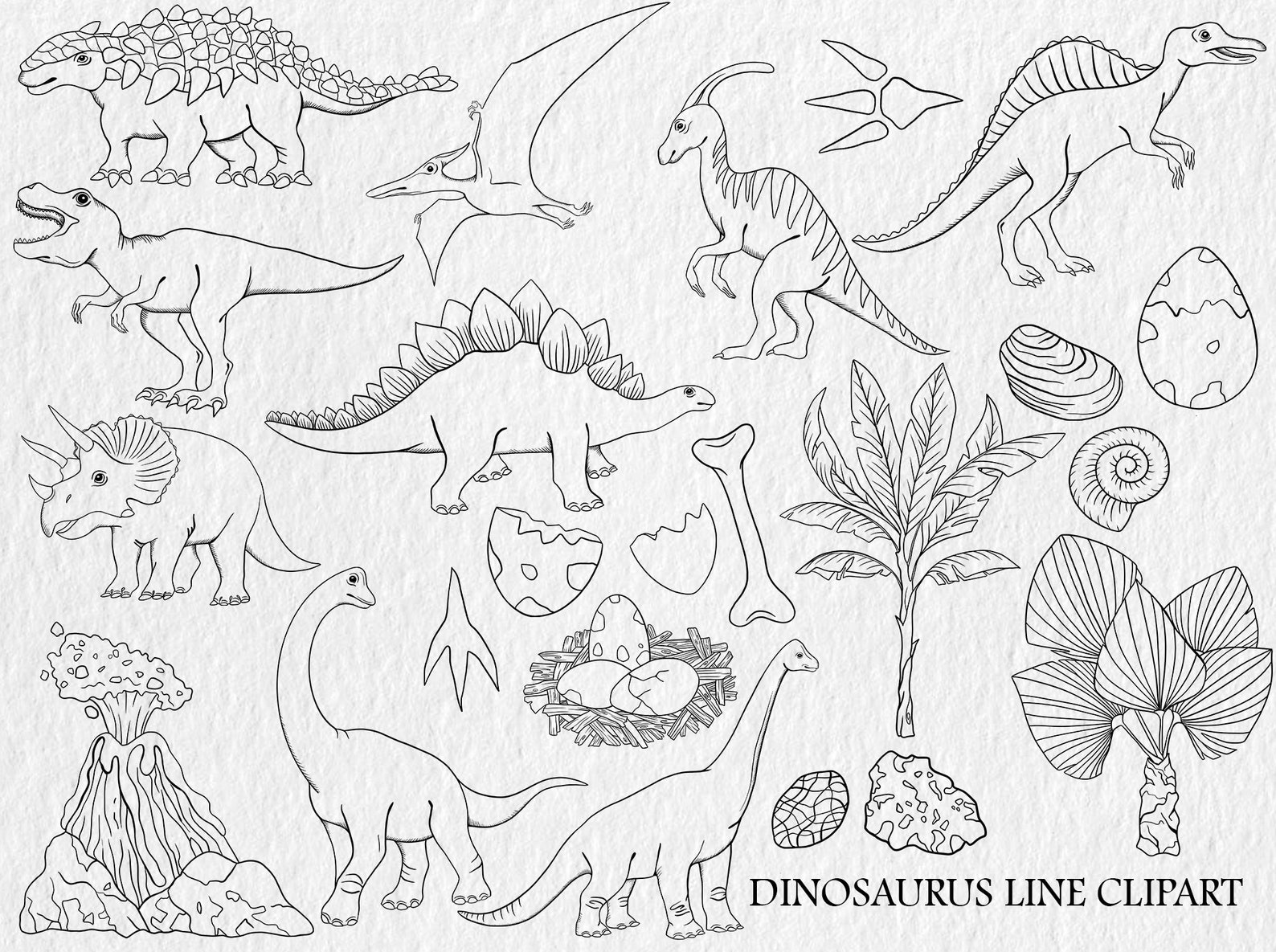 Dinosaur Black Line Clipart Dinosaur Clipart Nursery - Etsy