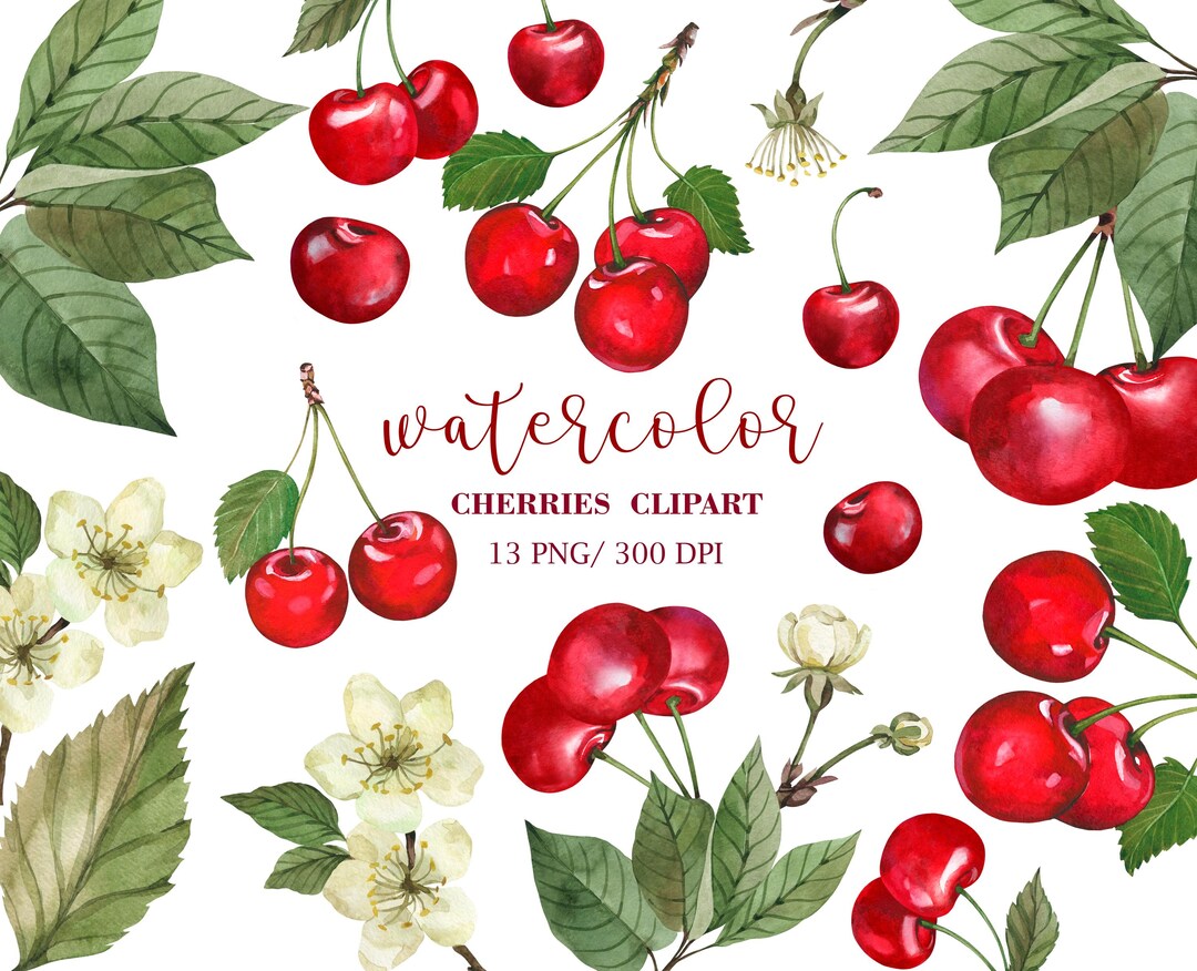 Watercolor Cherry Clip Art, Hand Painted Cherries, Cherry Fruit Trees ...