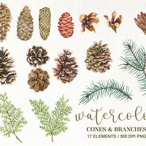 Watercolor Pine Cone Clipart, PNG, Pine Branches, Christmas Clipart ...