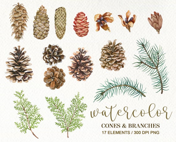 Christmas Pine Cone Clipart