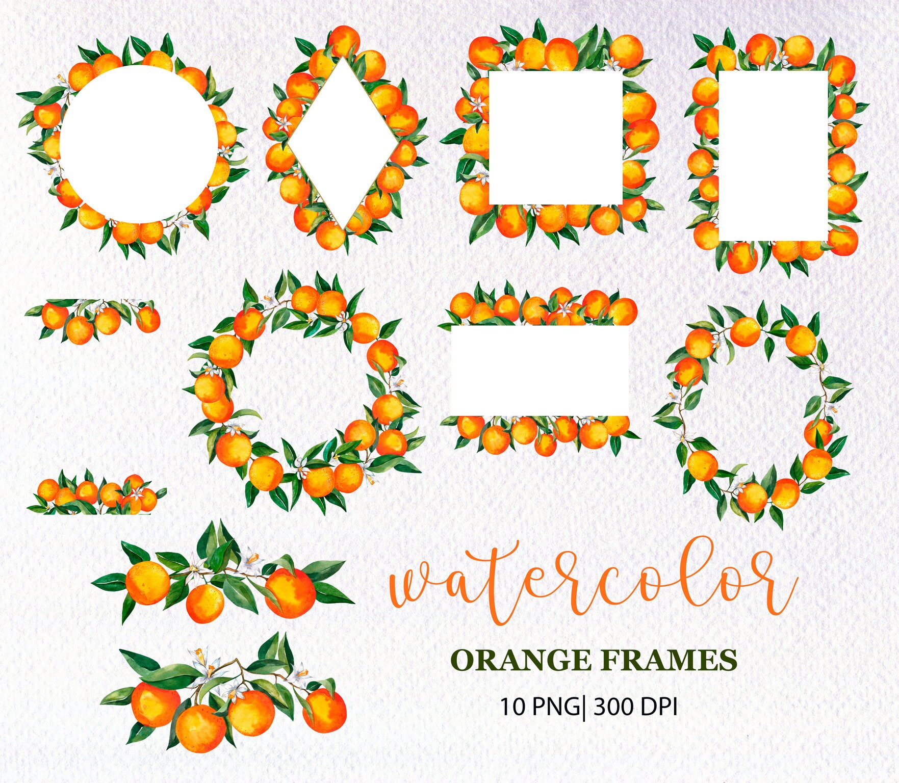 Watercolor Oranges Wreath Oranges Branches Blossom PNG - Etsy