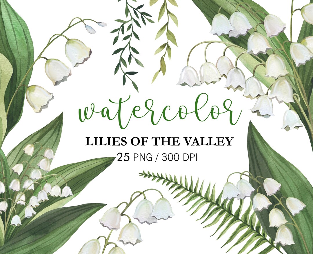 Watercolor Lily of the Valley Clipart: Floral PNG Digital Download - Etsy