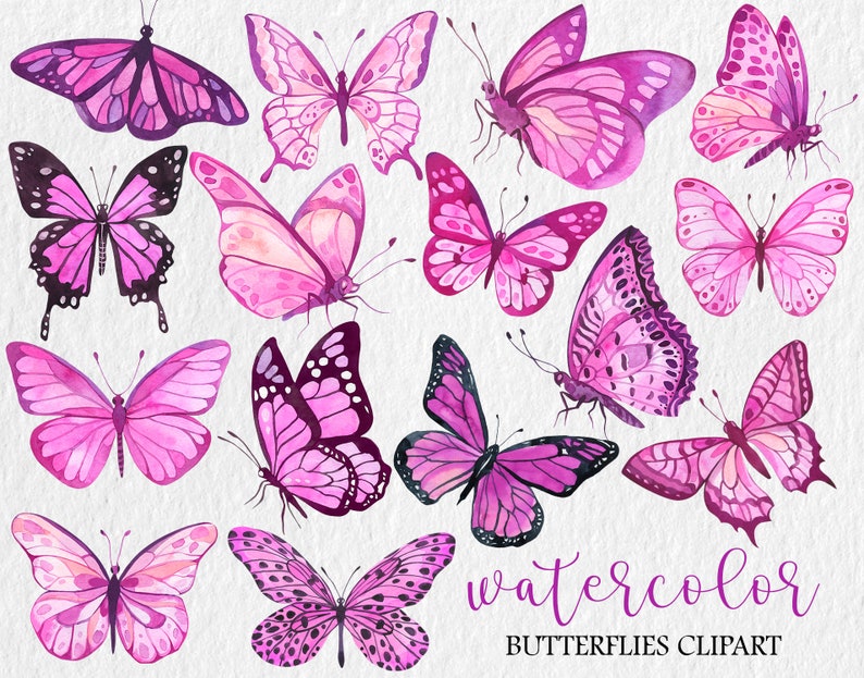 Watercolor Pink Butterflies Clipart Butterfly Clipart - Etsy