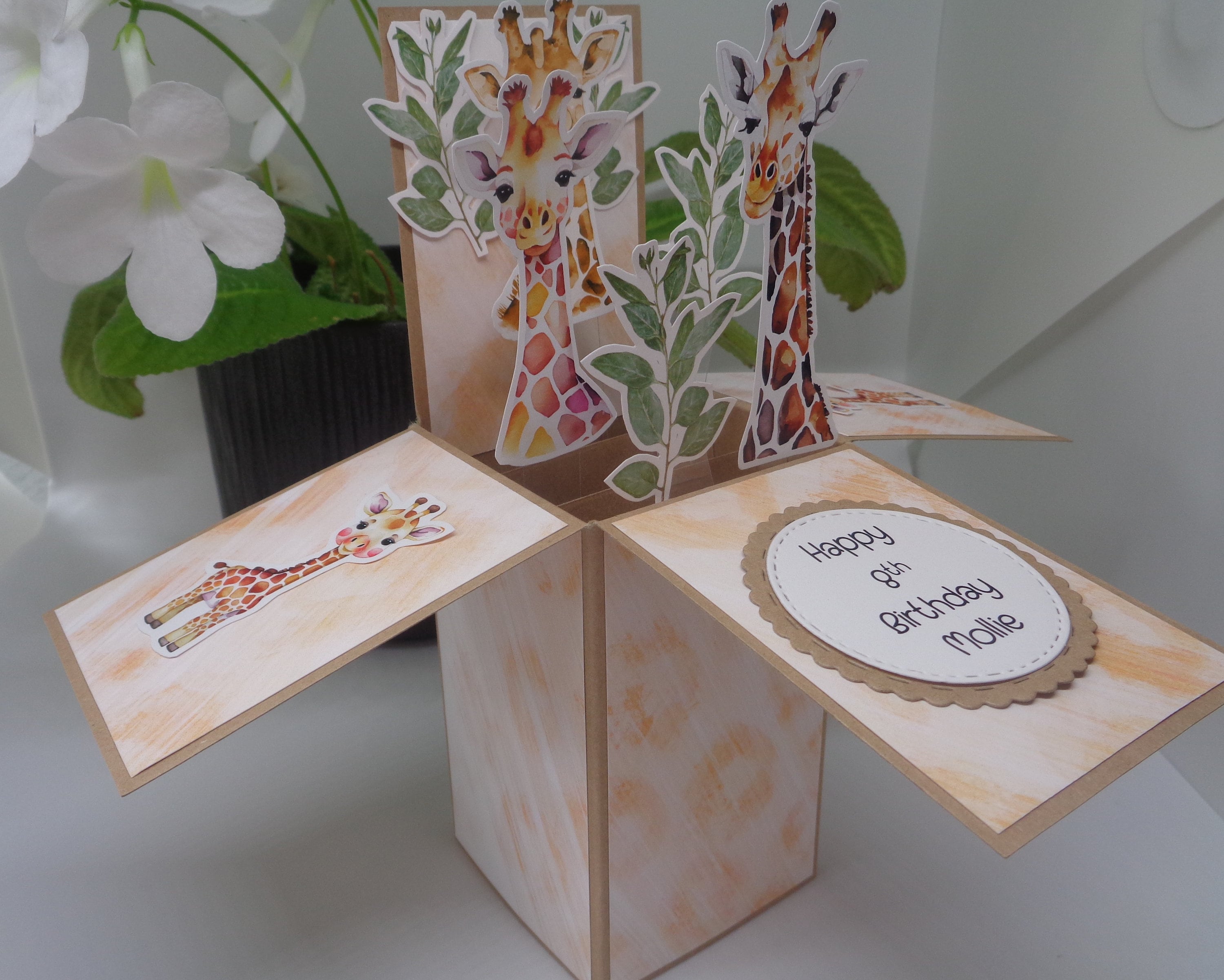 Giraffes Large Pop up Box Card, Handmade and Personalised to Your ...