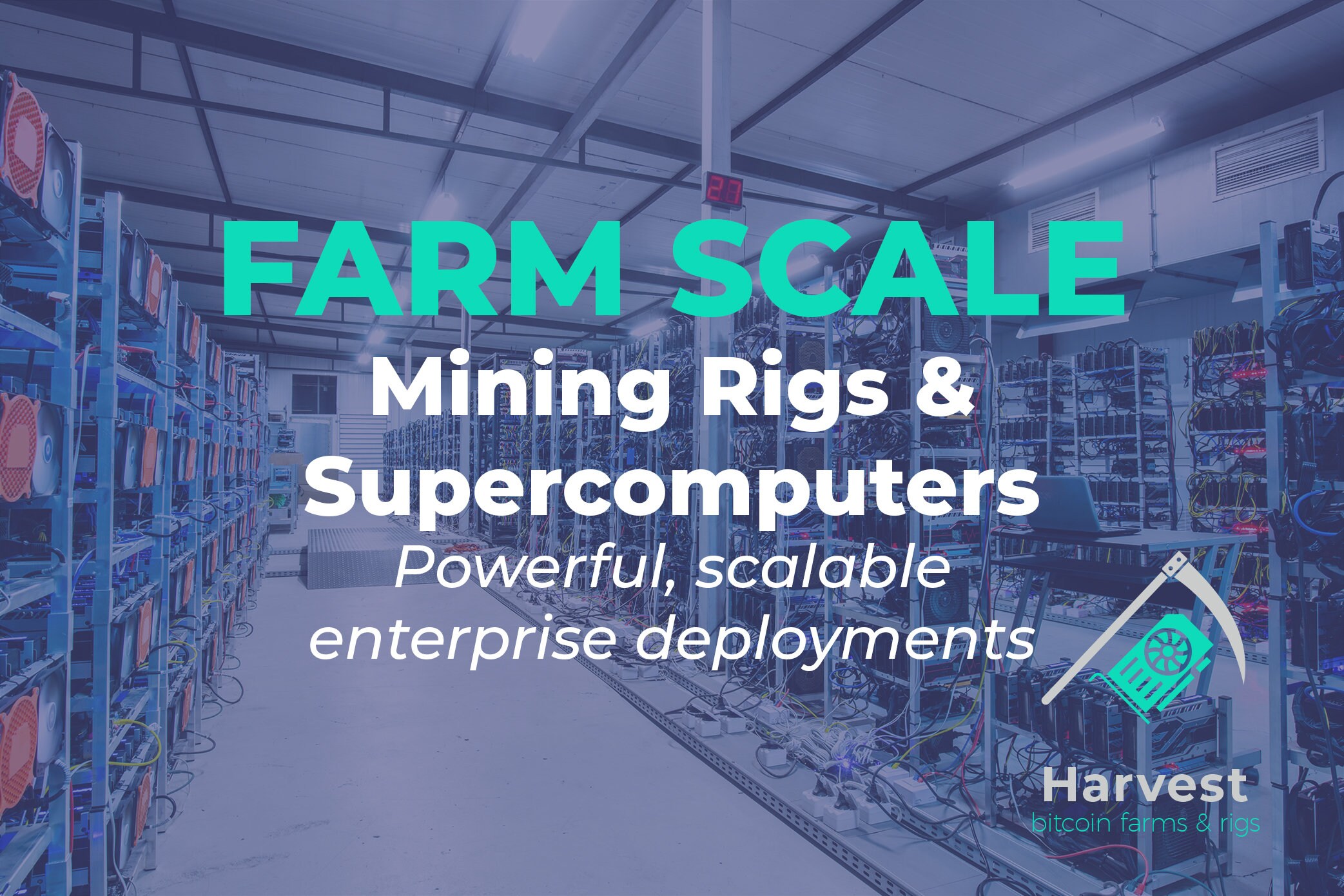 GPU Farm Installation Cryptocurrency Bitcoin Mining & | Etsy