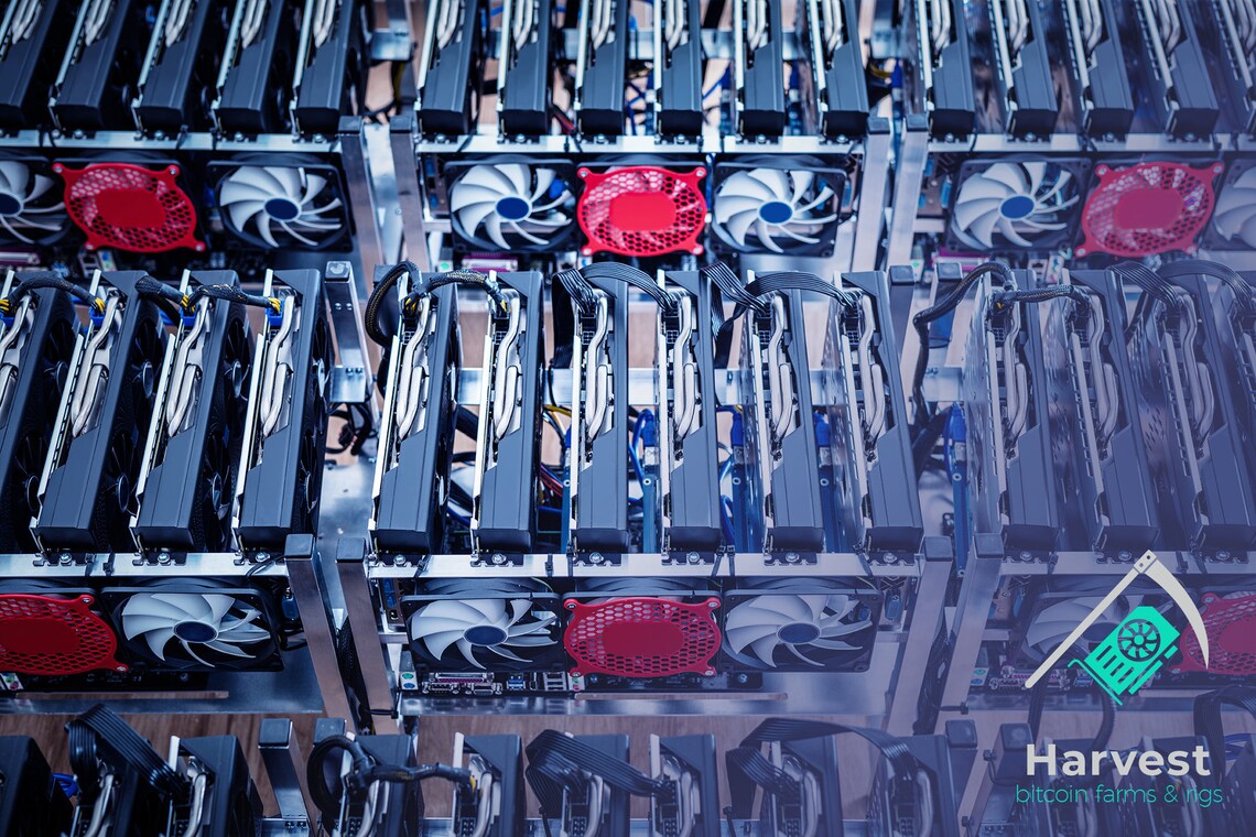 GPU Farm Installation Cryptocurrency Bitcoin Mining & | Etsy