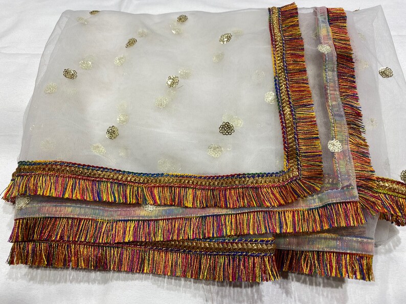 Indian Party Wear Multi Shades Net Fancy Fringe Lace Dupatta - Etsy
