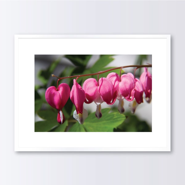 Heart Photography - Etsy