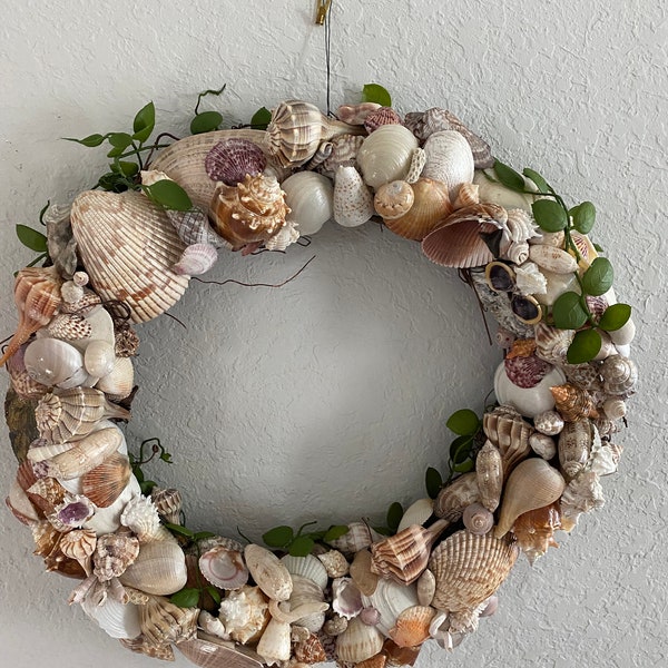 Seashell Wreath - Etsy