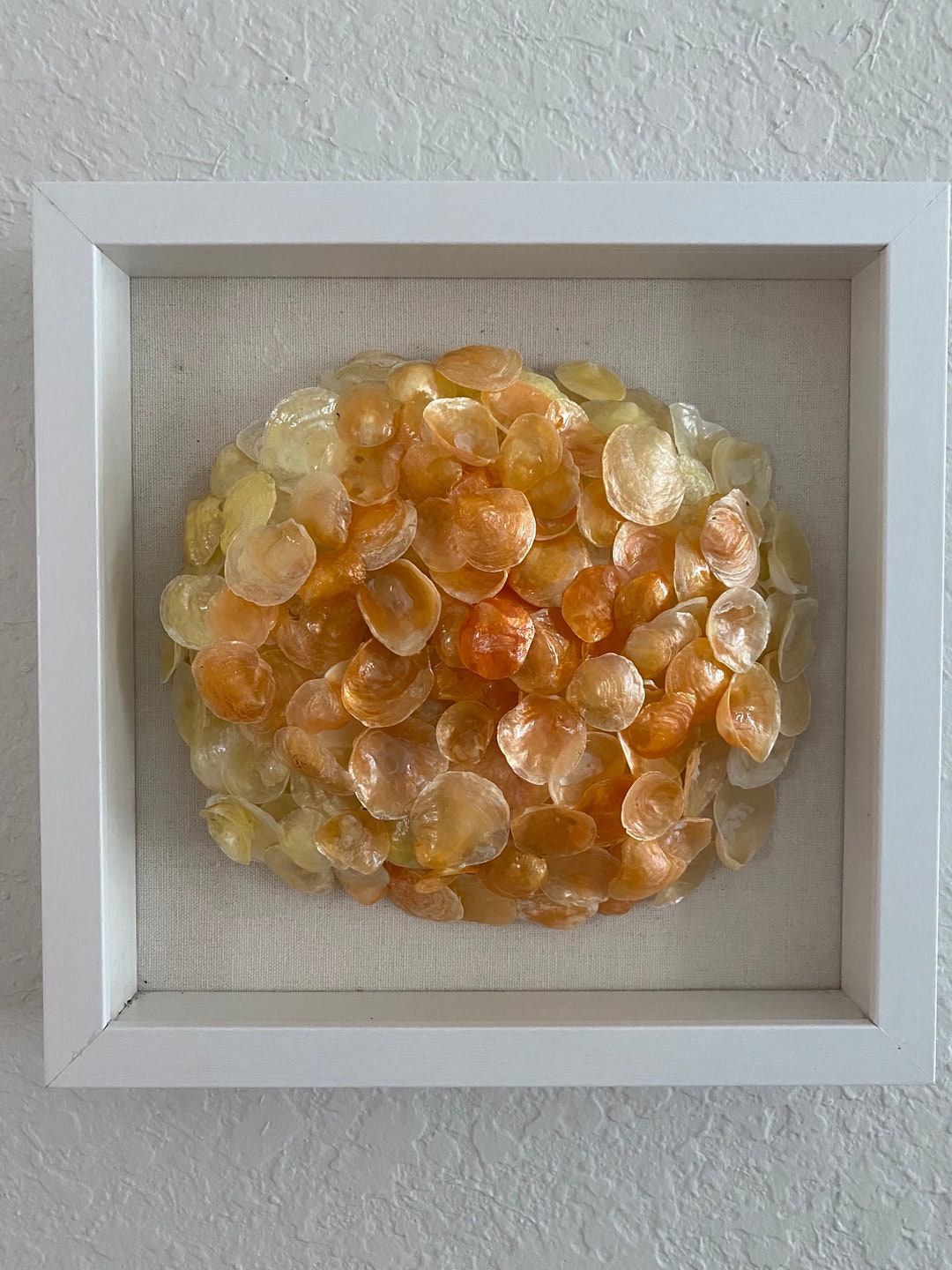 Abstract Seashell Wall Decor,shell Shadowbox,modern Art Shadowbox ...