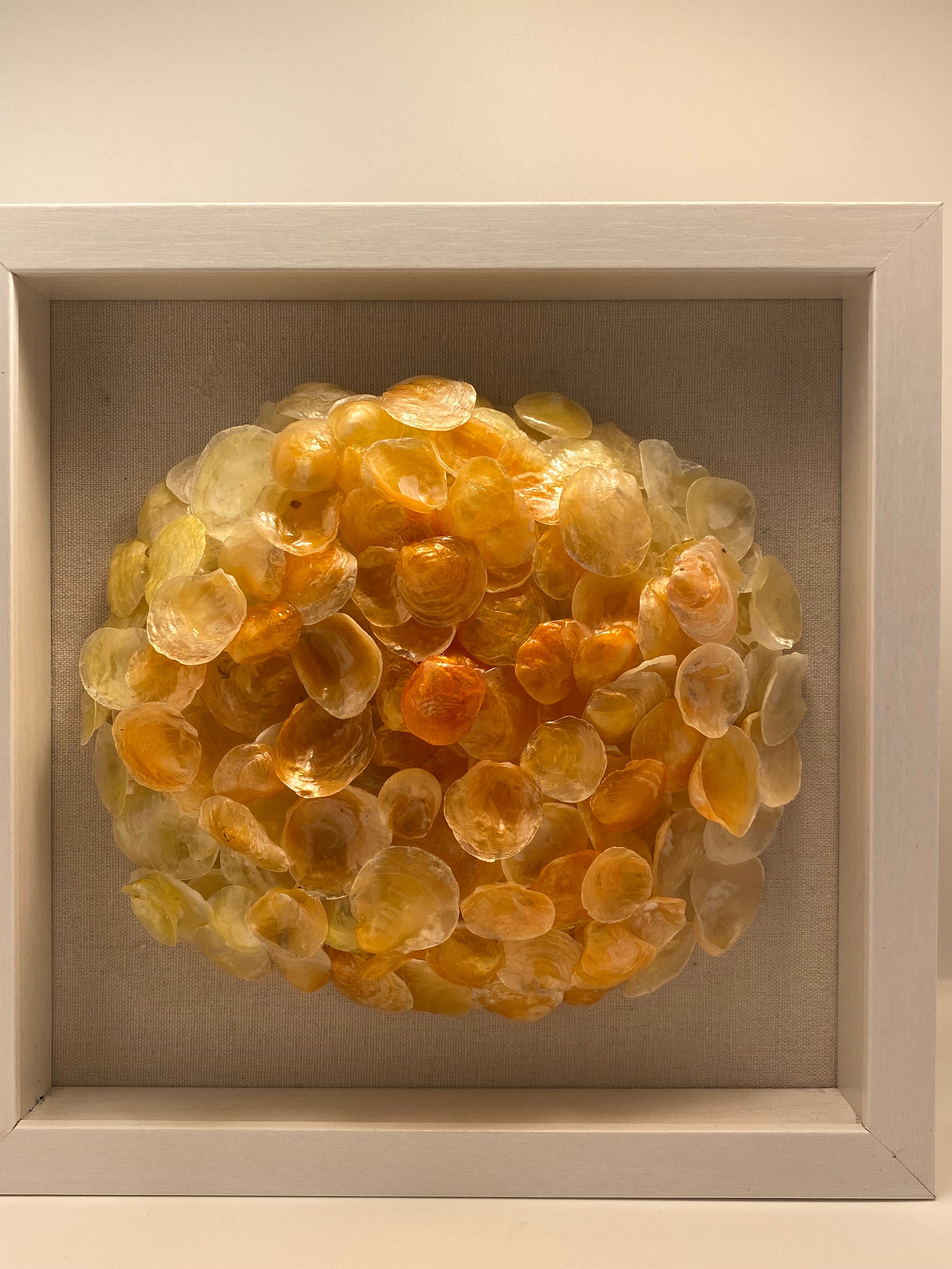 Abstract Seashell Wall Decor,shell Shadowbox,modern Art Shadowbox ...