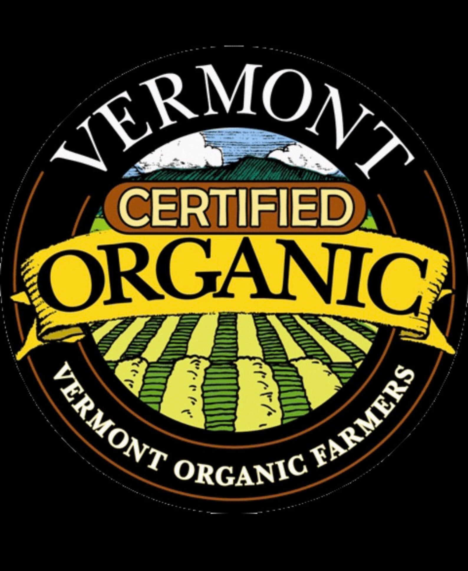 Vermont Breakfast Gift Set: Organic Maple Syrup & Buttermilk Pancake ...