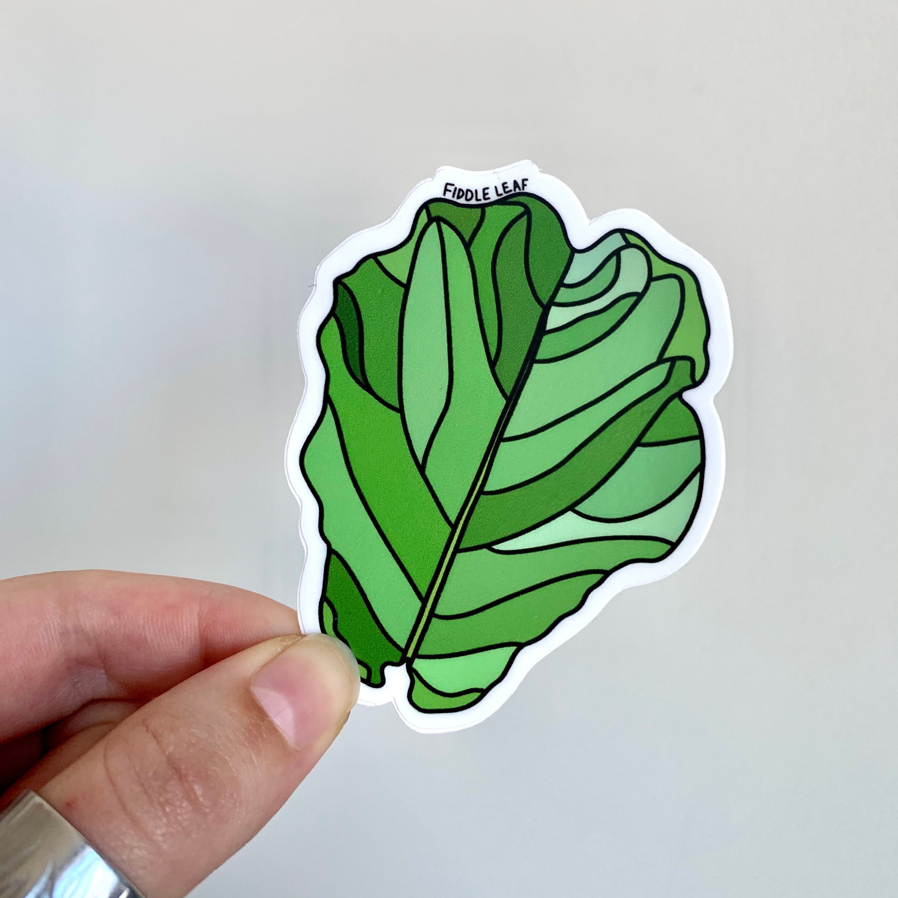 Stickers, Labels & Tags Paper & Party Supplies Vinyl Fiddle Leaf Fig ...