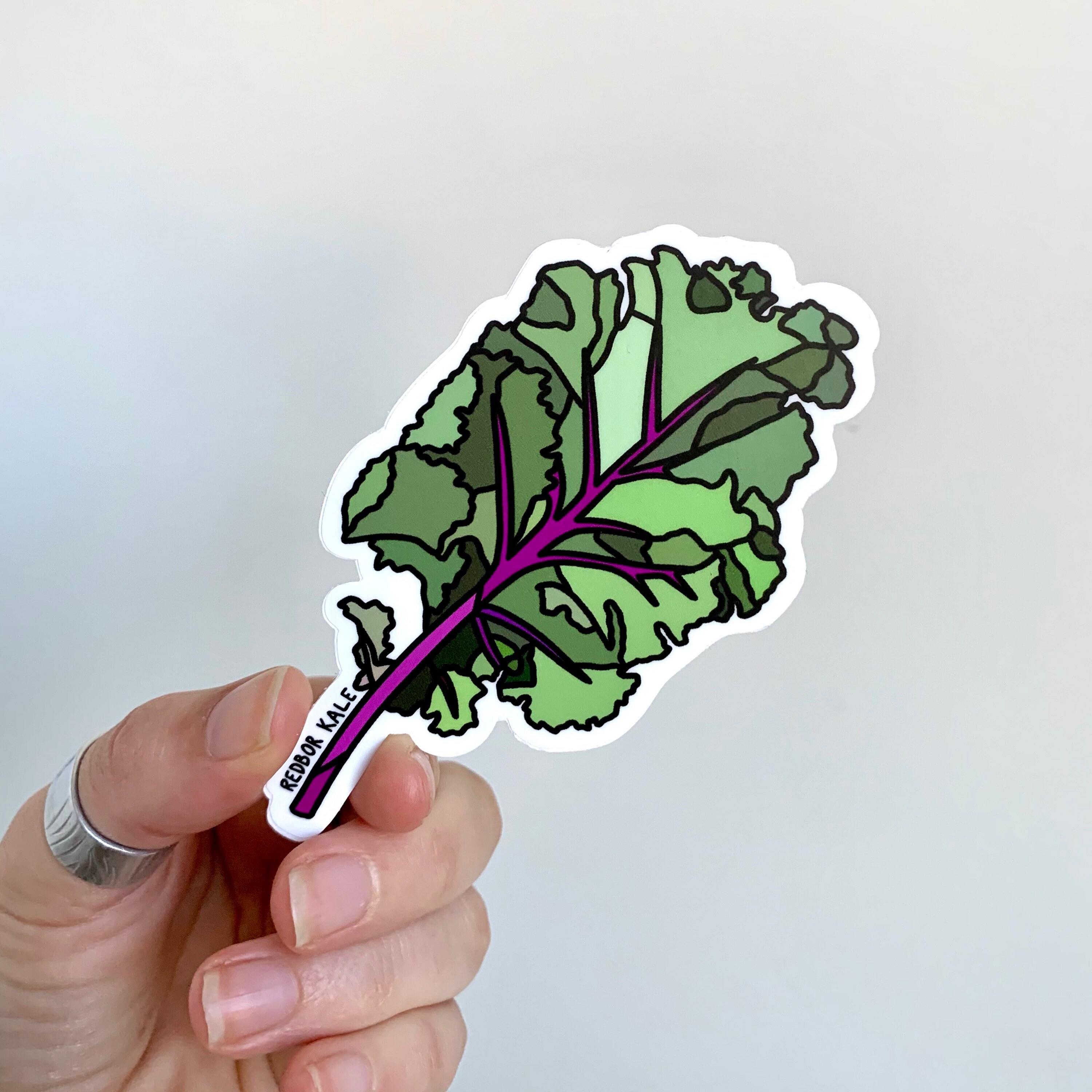 Kale Plant Drawing