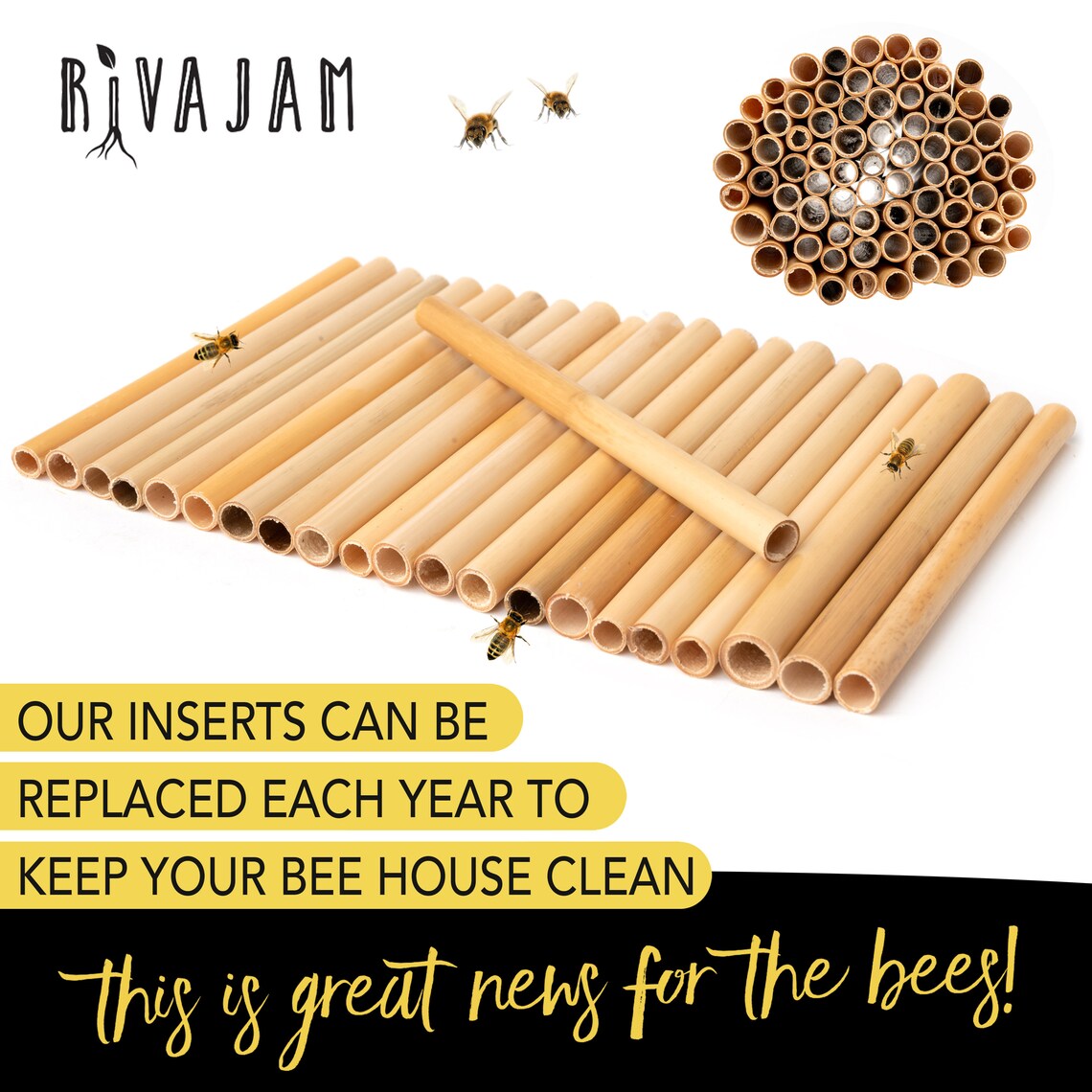 Rivajam 75 Phragmite Reed Native Mason Bee Nesting Tubes | Etsy