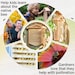 Rivajam Native Bee Observatory Wax Coated Mason Bee House Leafcutter ...