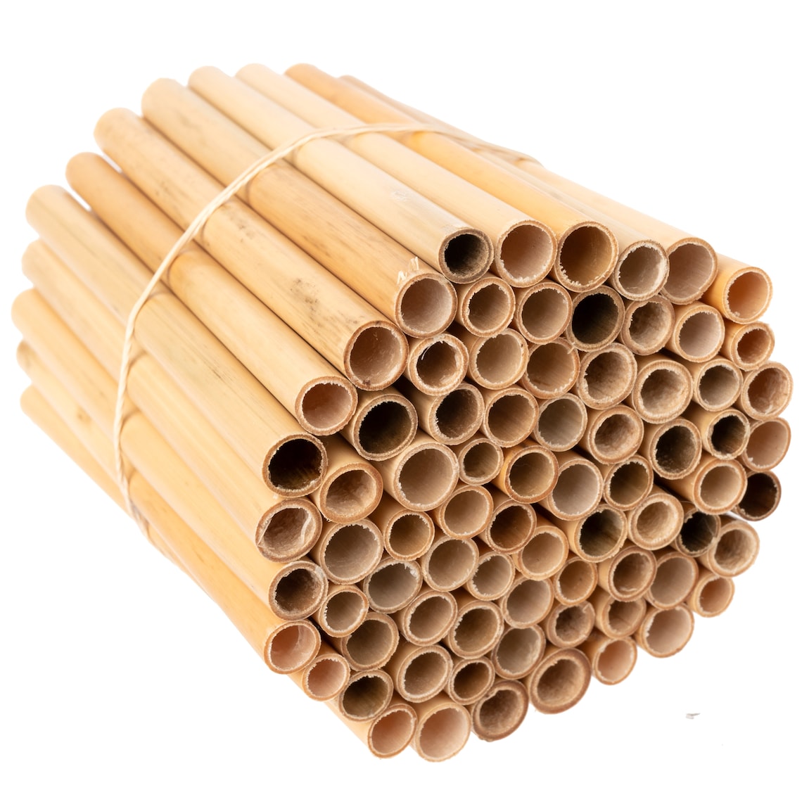 Rivajam 75 Phragmite Reed Native Mason Bee Nesting Tubes | Etsy