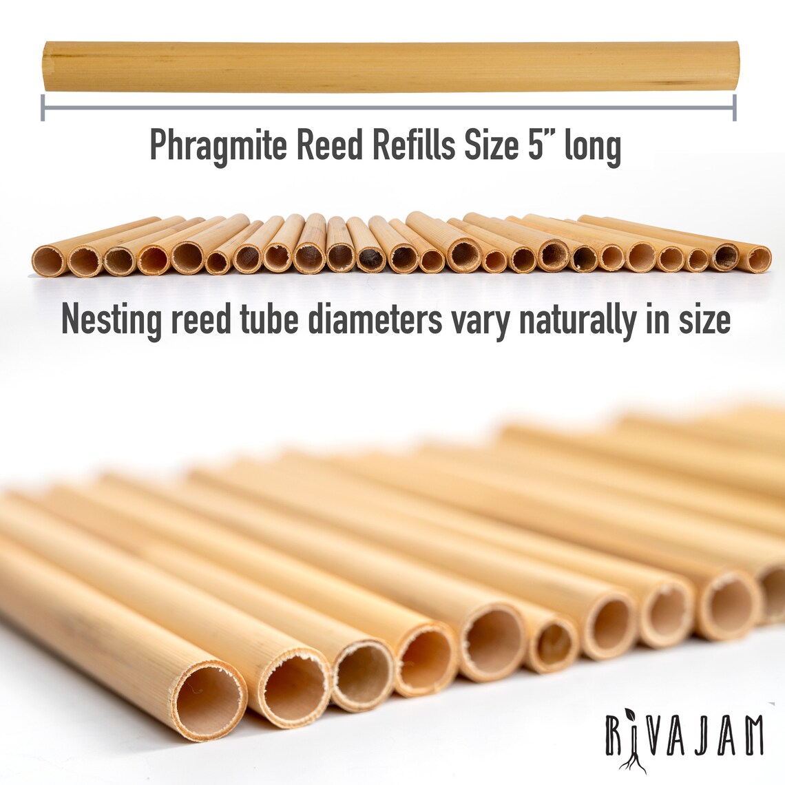 Rivajam 75 Phragmite Reed Native Mason Bee Nesting Tubes | Etsy