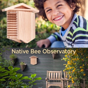 Native Bee House Observatory | Mason & Leafcutter Bees Habitat | Watch ...