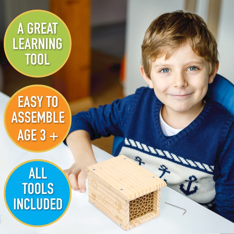 DIY Mason Bee House Kit: Woodworking STEM Project With Nesting Tubes - Etsy