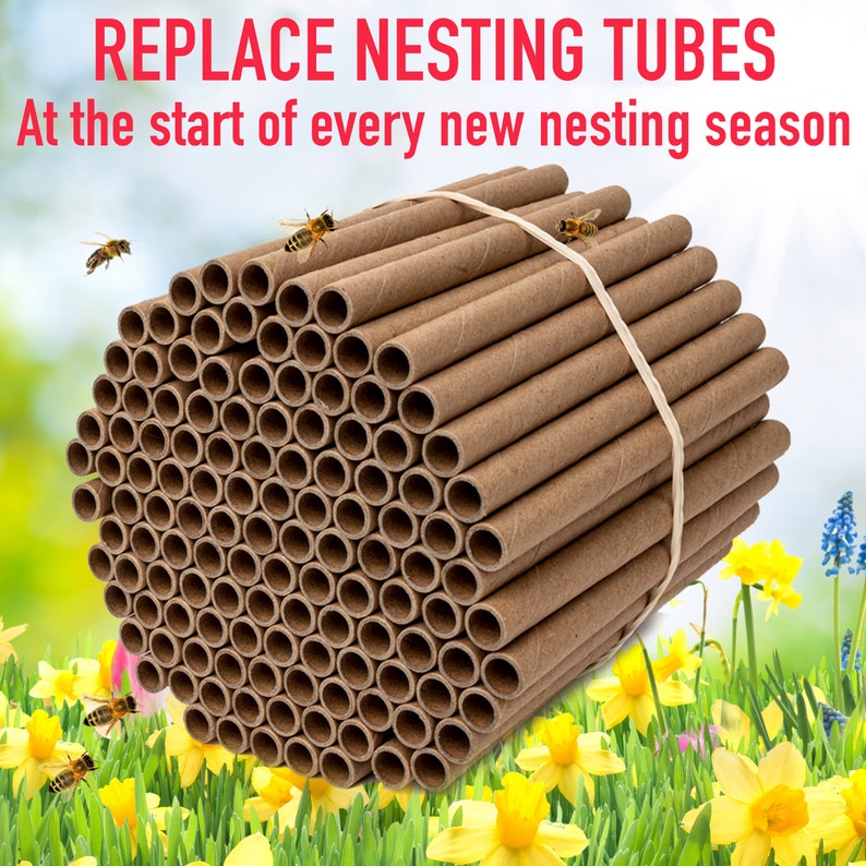 Rivajam Mason Bee Nesting Tubes: Cardboard Refill, 125 Pack - Etsy