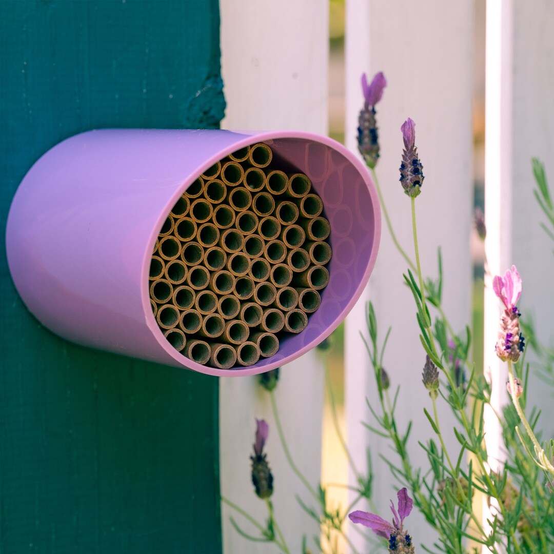 Color Splash Mason Bee House: Pollinator Garden Home - Etsy