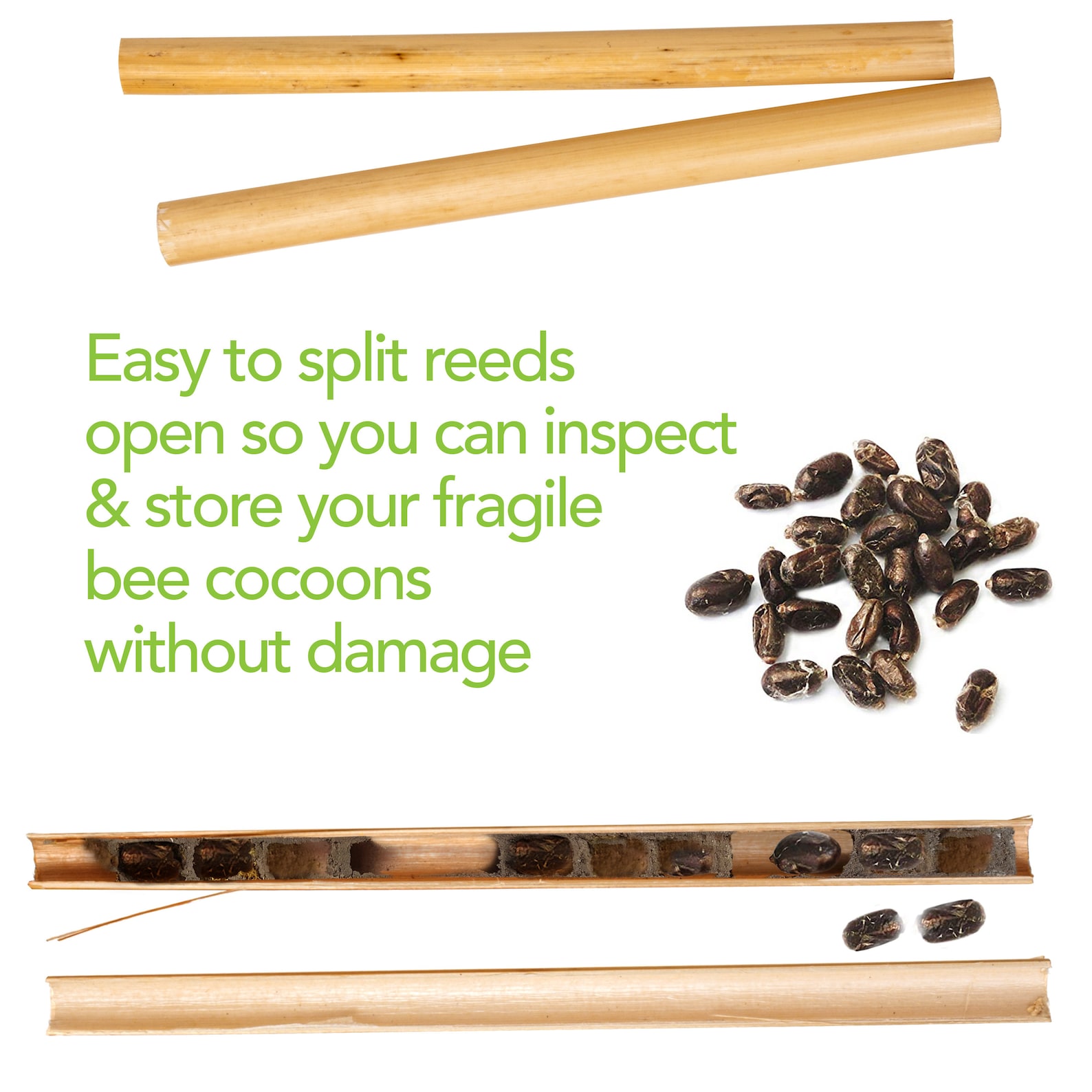 Rivajam 75 Phragmite Reed Native Mason Bee Nesting Tubes - Etsy