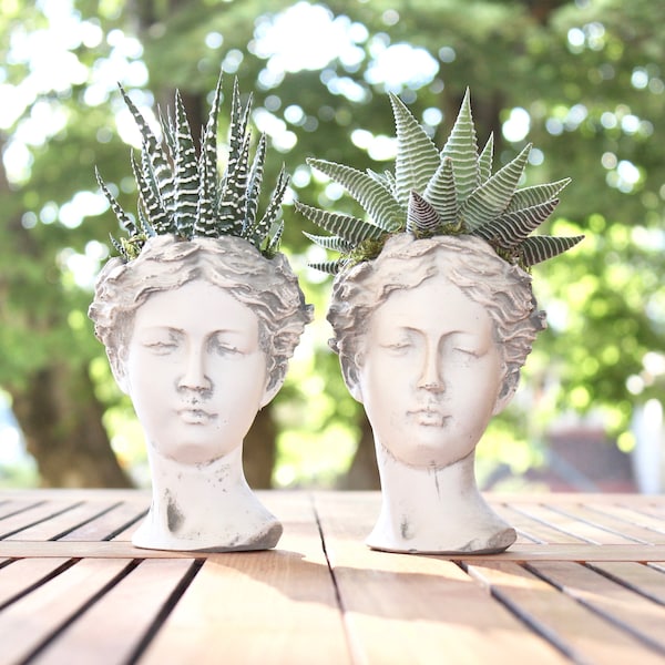 Head Planter - Etsy