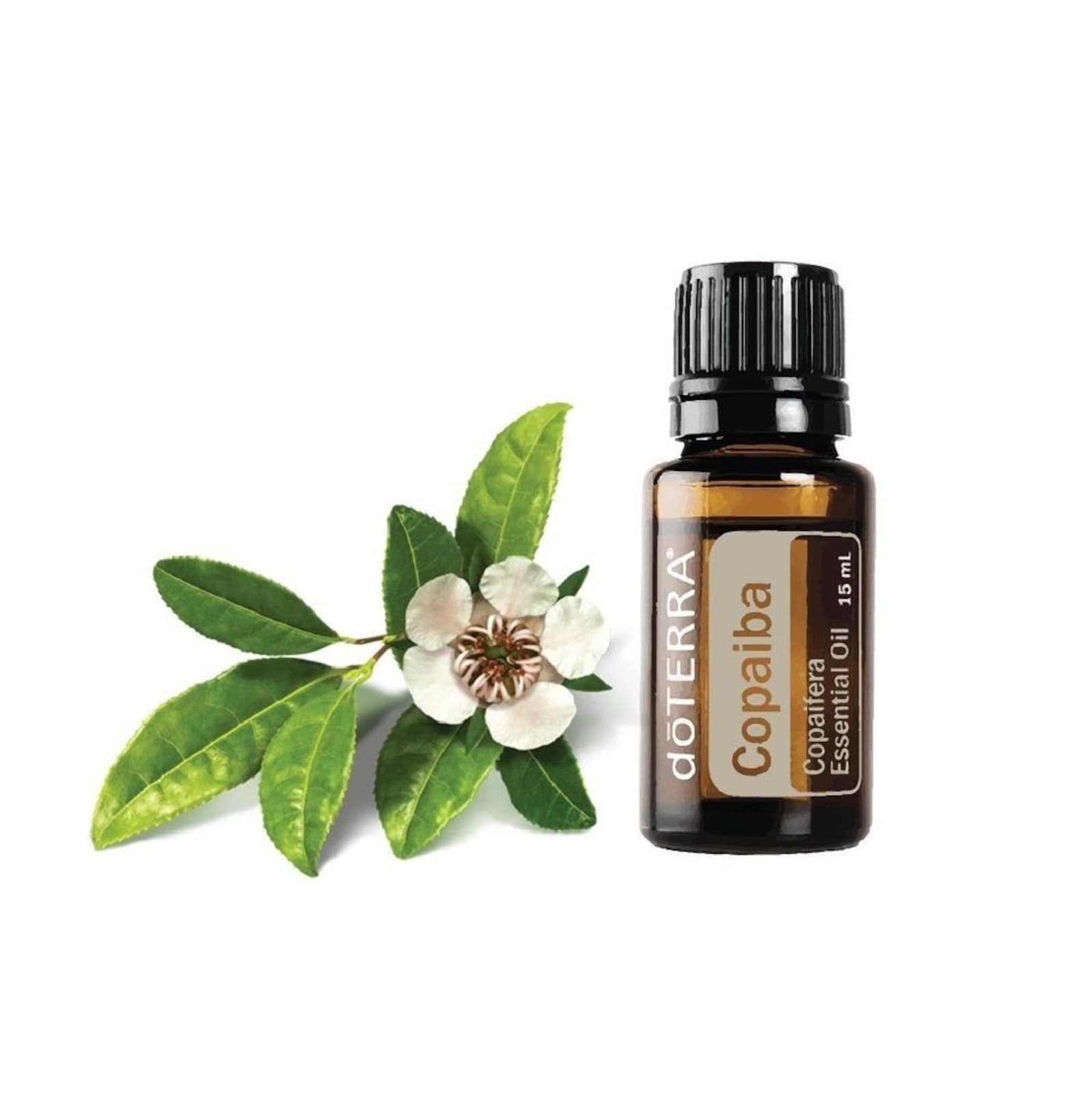 Doterra Copaiba Essential Oil 15ml - Etsy
