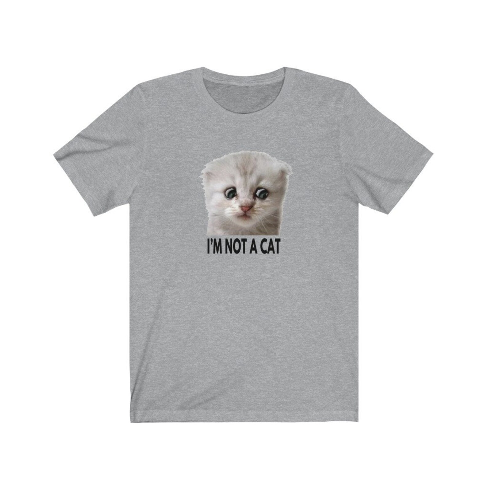 Not a Cat Zoom Lawyer Cat Shirt Zoom Cat Meme Shirt Funny - Etsy