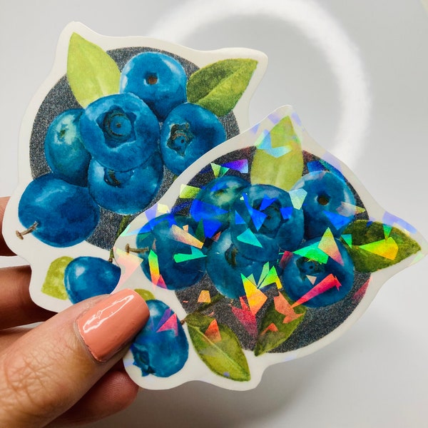 Fruit Stickers - Etsy