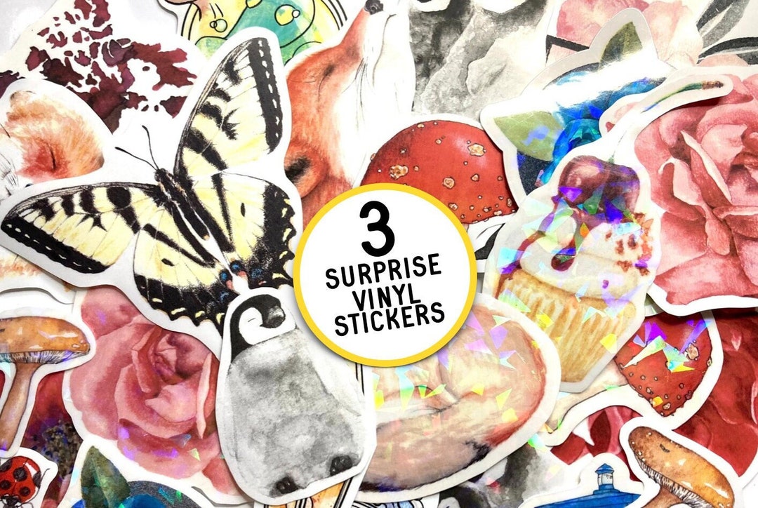 3 Surprise Stickers | Vinyl Sticker Pack | Gifts for Sticker Lovers ...