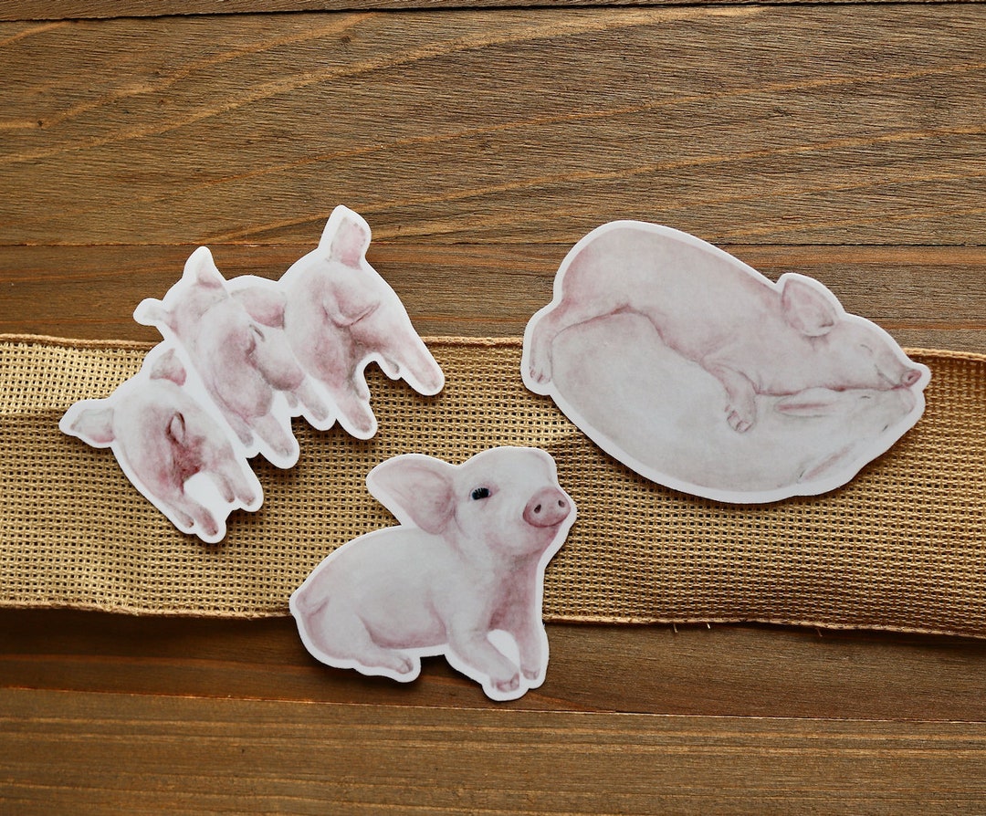 Set of 3 Cute Vinyl Piglet Stickers | Baby Piglets | Watercolour Artist ...