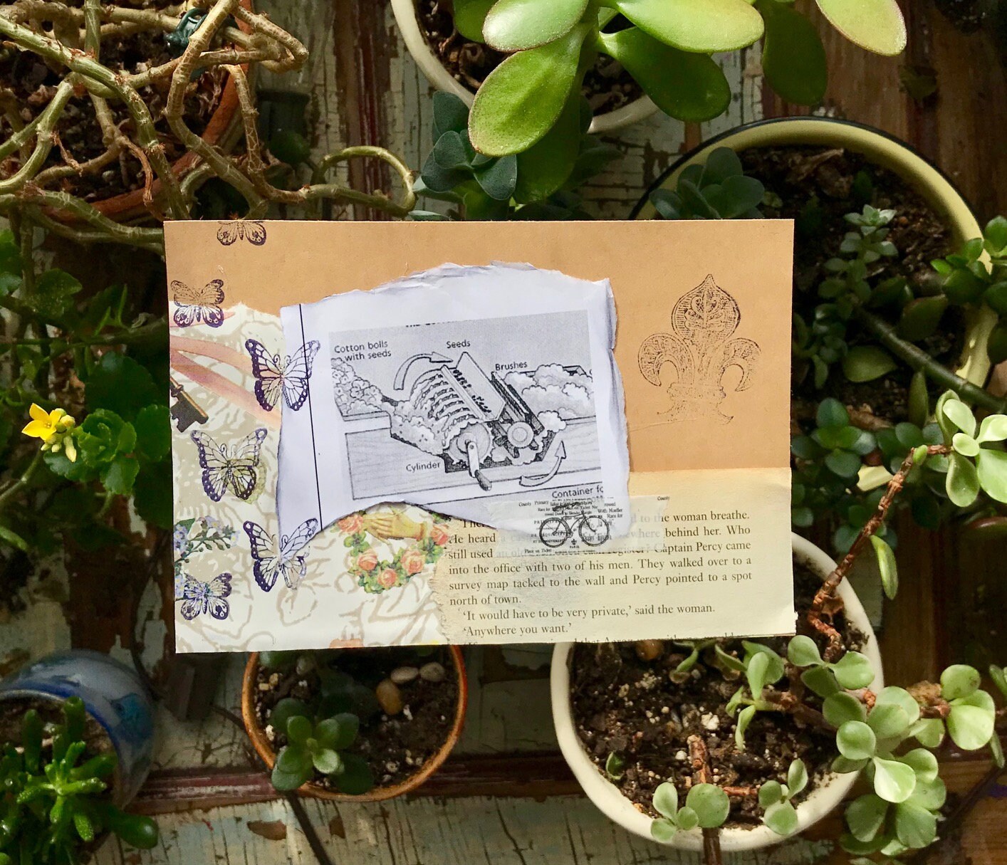 Vintage and Botanical Handmade Postcards Cottagecore - Etsy