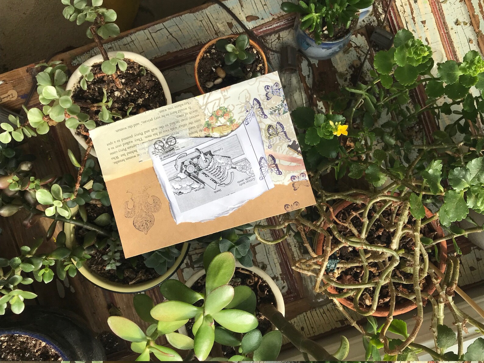 Vintage and Botanical Handmade Postcards Cottagecore Crafting - Etsy