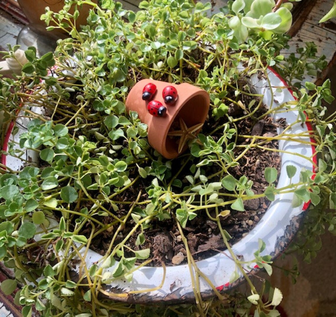 Miniature Ladybug Fairy Garden House // Fairy-gardens & Dollhouses - Etsy