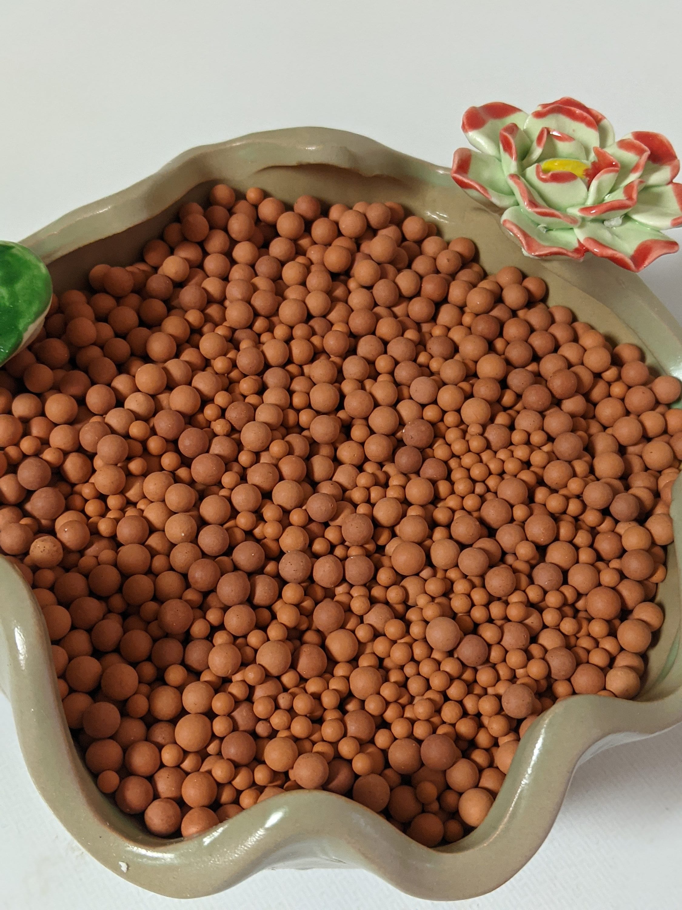 Gardening Clay Pebbles / Orchid Hydroponic Grow Media - Etsy