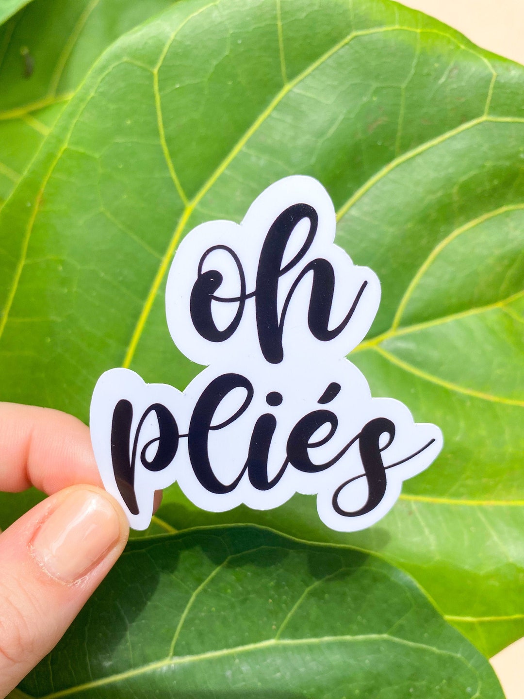 Oh Pliés Sticker, Dance, Ballet, Ballerina, Punny, Laptop Sticker - Etsy