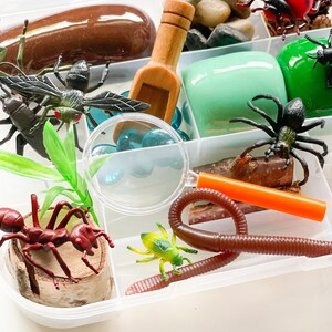 Play Dough Kit Bugs Play Dough Kit Insect Kit Sensory Kit - Etsy