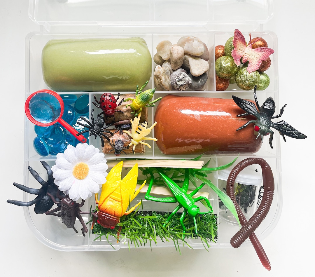 Play Dough Kit, Bugs Play Dough Kit, Insect Kit, Sensory Kit, Insect ...